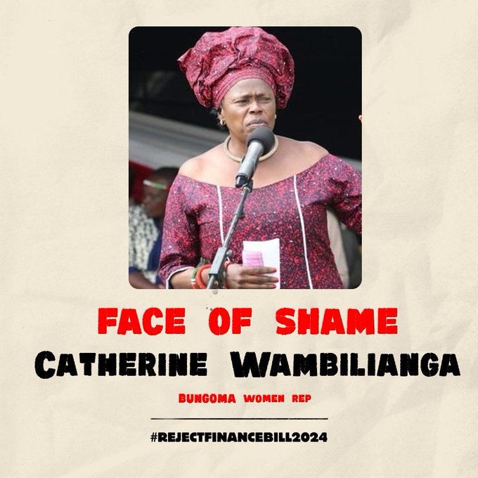 Wall of Shame Finance Bill 2024