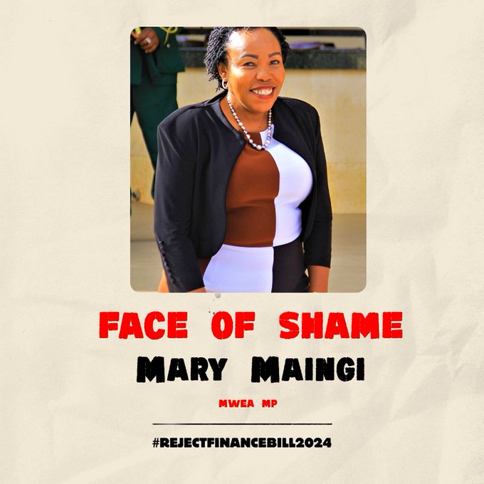 Wall of Shame Finance Bill 2024